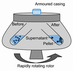 Separation of Mixture | Class 9, Is matter around us pure