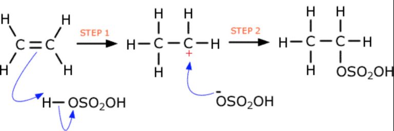 Alkenes - Chemistry, Class 11, Hydrocarbons