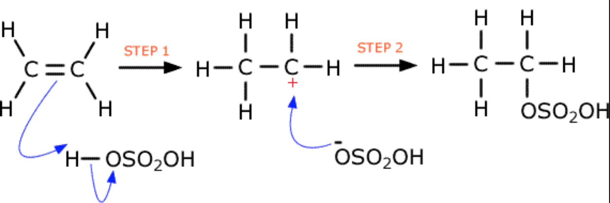 Alkenes - Chemistry, Class 11, Hydrocarbons