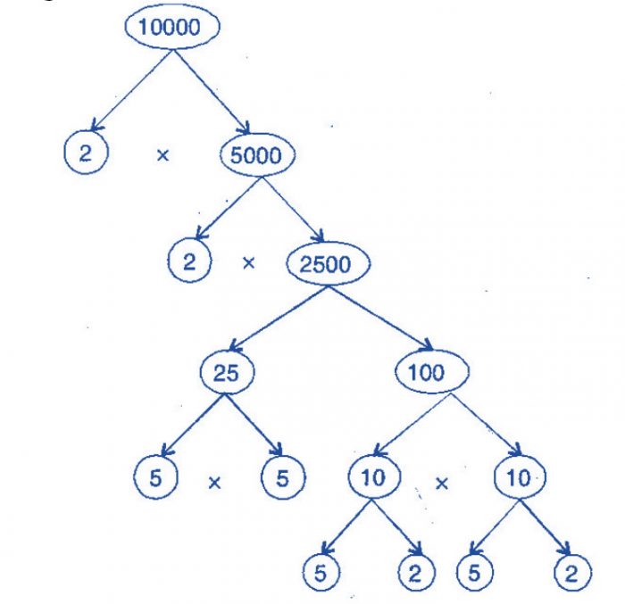 Exercise 3.5 - Chapter 3 Playing with Numbers, Class 6, Maths, NCERT ...