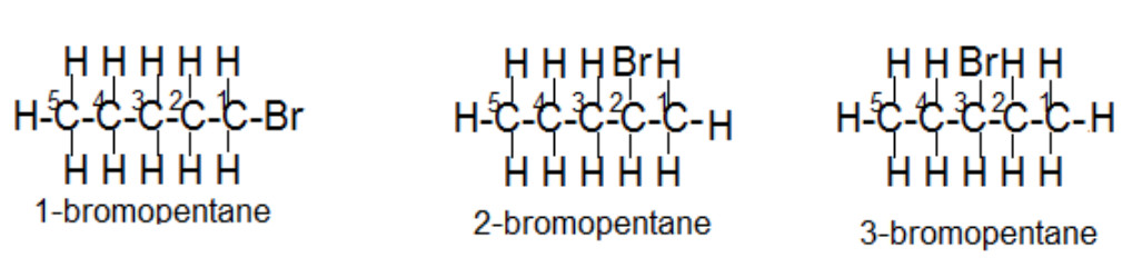 Chapter 4 Carbon and its Compounds - Class 10, NCERT Solutions, Science
