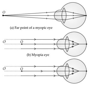 Chapter 11 The Human Eye and the Colourful World - Class 10, NCERT ...