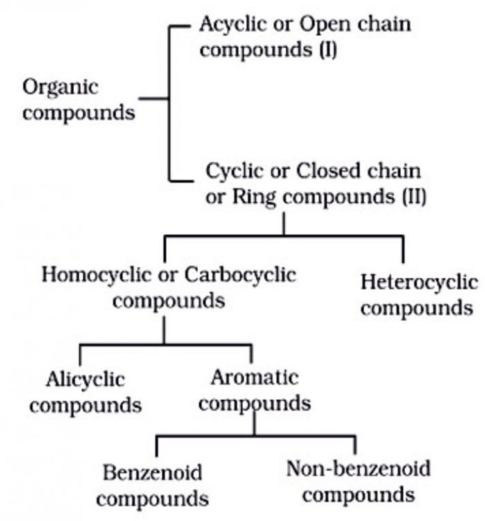 Classification Of Organic Compounds - Chemistry, Class 11, Organic ...