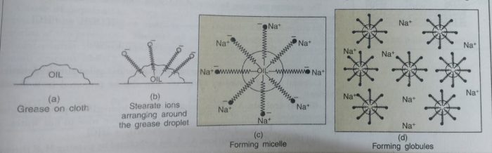 Classification of Colloids - Chemistry, Class 12, Surface Chemistry