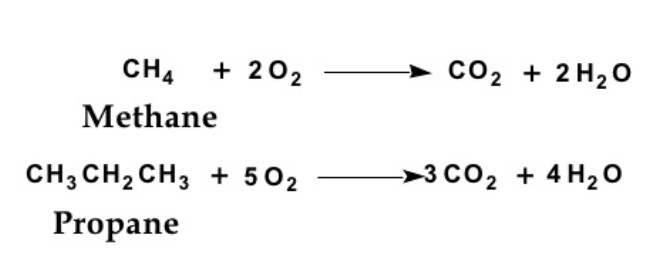 Alkanes - Chemistry, Class 11, Hydrocarbons