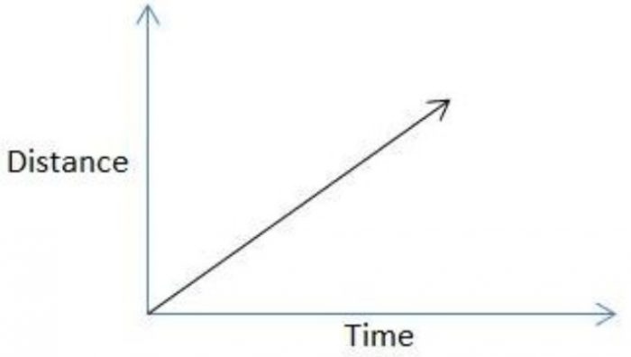 Chapter 8 Motion - Class 9, NCERT Solutions, Science