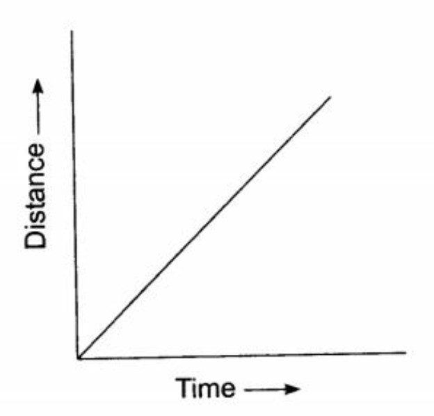 Draw Distance Time Graph For A Bus Moving With Constant Speed Science