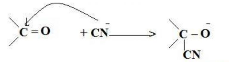 Inductive and Electromeric Effect - Chemistry, Class 11, Organic ...
