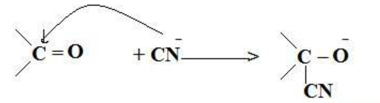 Inductive and Electromeric Effect - Chemistry, Class 11, Organic ...