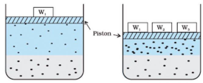 Solubility of Gases and Solids in Liquids - Chemistry, Class 12, Solutions