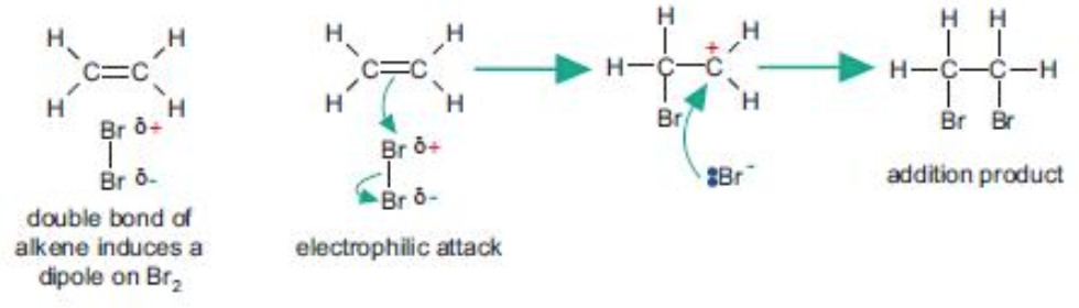 Alkenes - Chemistry, Class 11, Hydrocarbons