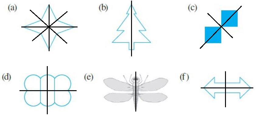 Class 6 Maths Exercise 13.3 - Chapter 13 Symmetry, Class 6, Maths ...