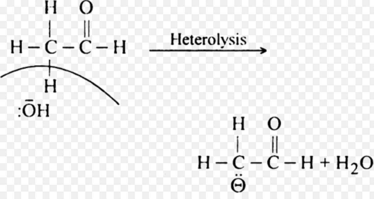 Carbanions - Chemistry, Class 11, Organic Chemistry - Some Basic ...