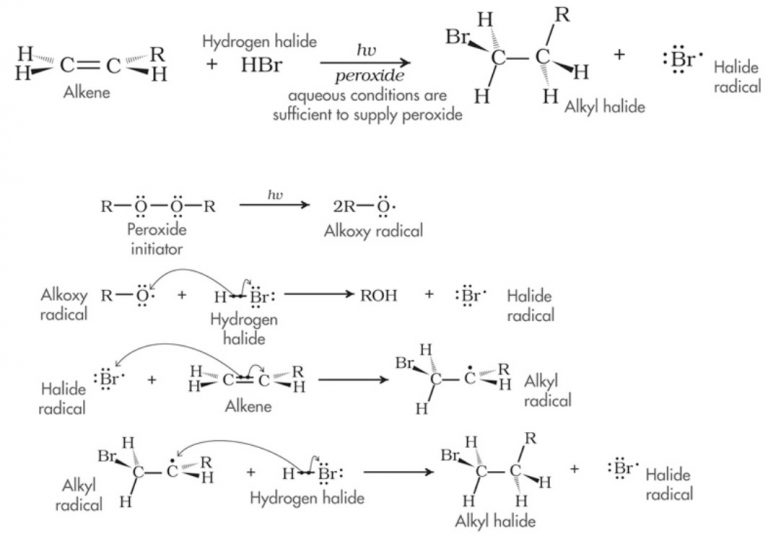 Types of Organic Reactions - Chemistry, Class 11, Organic Chemistry ...