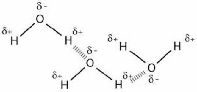 Hydrogen Bonding - Chemical Bonding and Molecular Structure, Chemistry ...