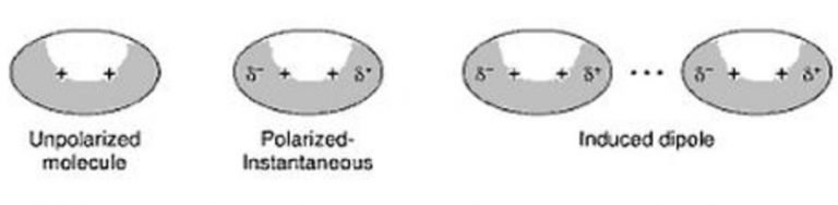 Intermolecular forces - Class 11, States of Matter