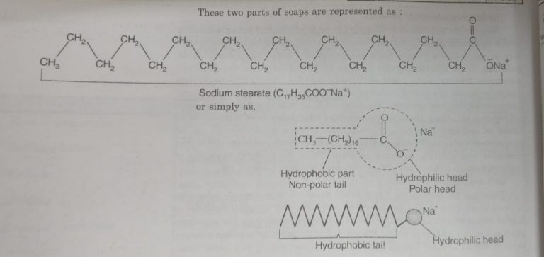 Classification of Colloids - Chemistry, Class 12, Surface Chemistry