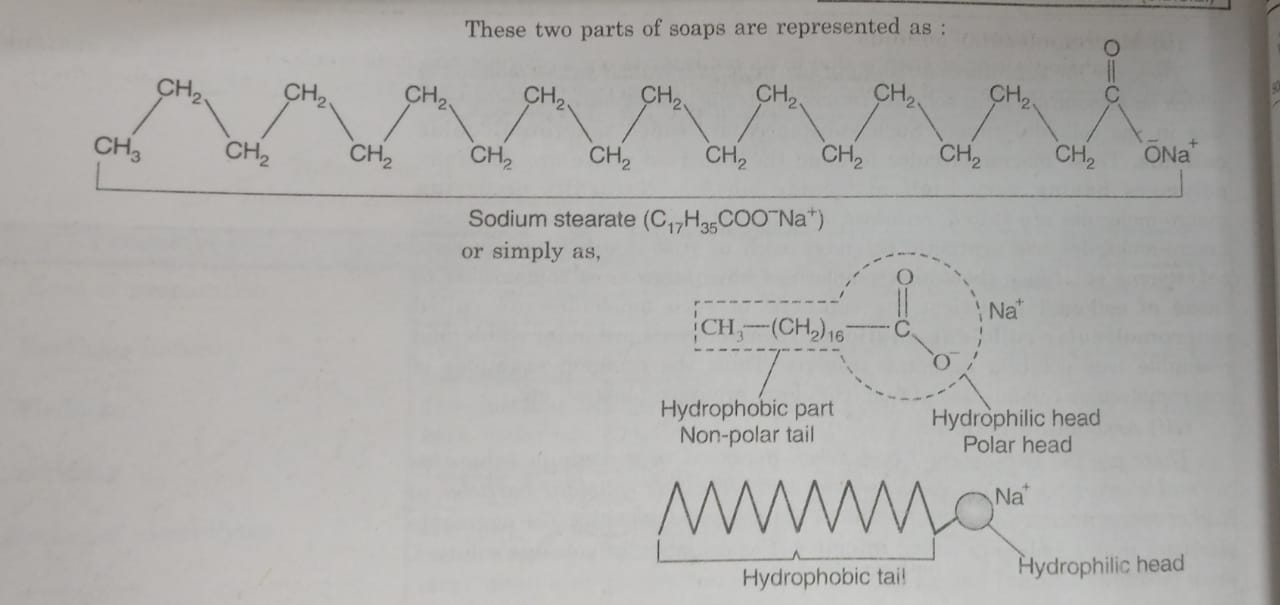 Classification of Colloids - Chemistry, Class 12, Surface Chemistry