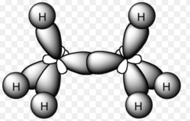 Shapes Of Simple Organic Compounds - Chemistry, Class 11, Organic ...