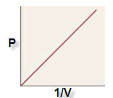 Gas Laws | Chemistry, Class 11, States of Matter