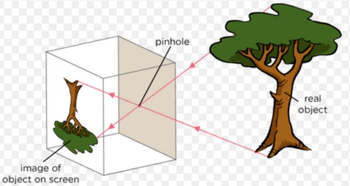 Light and Shadow - Class 6, Light Shadows and Reflection