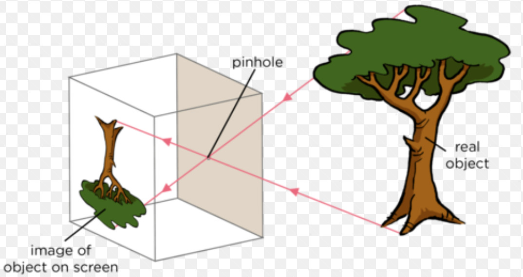 Light and Shadow - Class 6, Light Shadows and Reflection