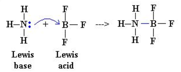 Concepts of Acids and Bases | Chemistry, Class 11, Ionic Equilibrium
