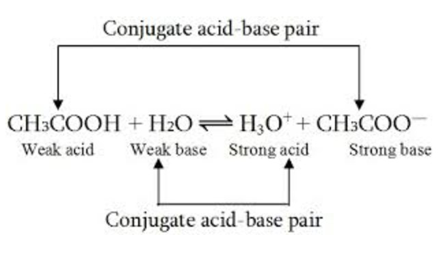 Concepts of Acids and Bases - Chemistry, Class 11, Ionic Equilibrium