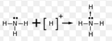 Concepts of Acids and Bases - Chemistry, Class 11, Ionic Equilibrium