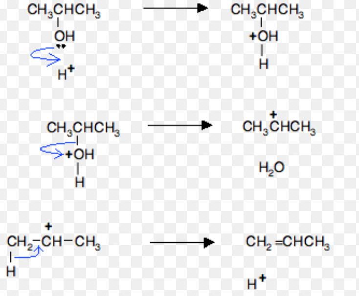 Types of Organic Reactions - Chemistry, Class 11, Organic Chemistry ...