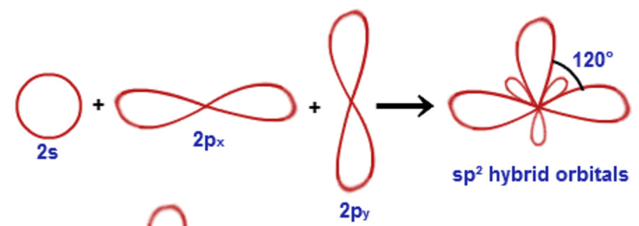 Hybridisation - Chemical Bonding and Molecular Structure, Chemistry ...