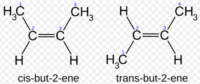 Stereoisomerism - Chemistry, Class 11, Organic Chemistry - Some Basic ...