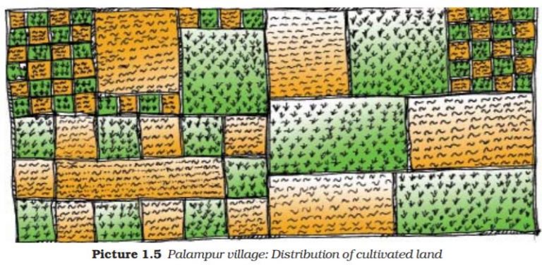 Class 9 Economics Chapter 1 The Story of the village Palampur - Class 9 ...