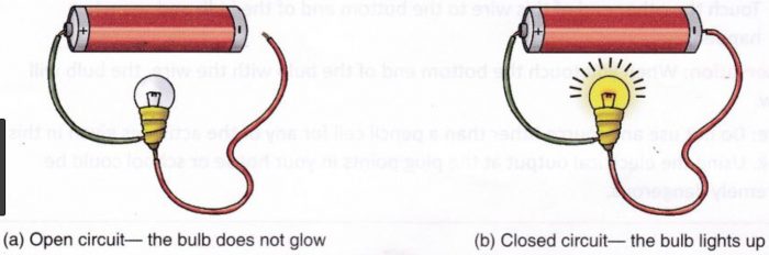 Circuits - Class 6, Electricity and Circuits