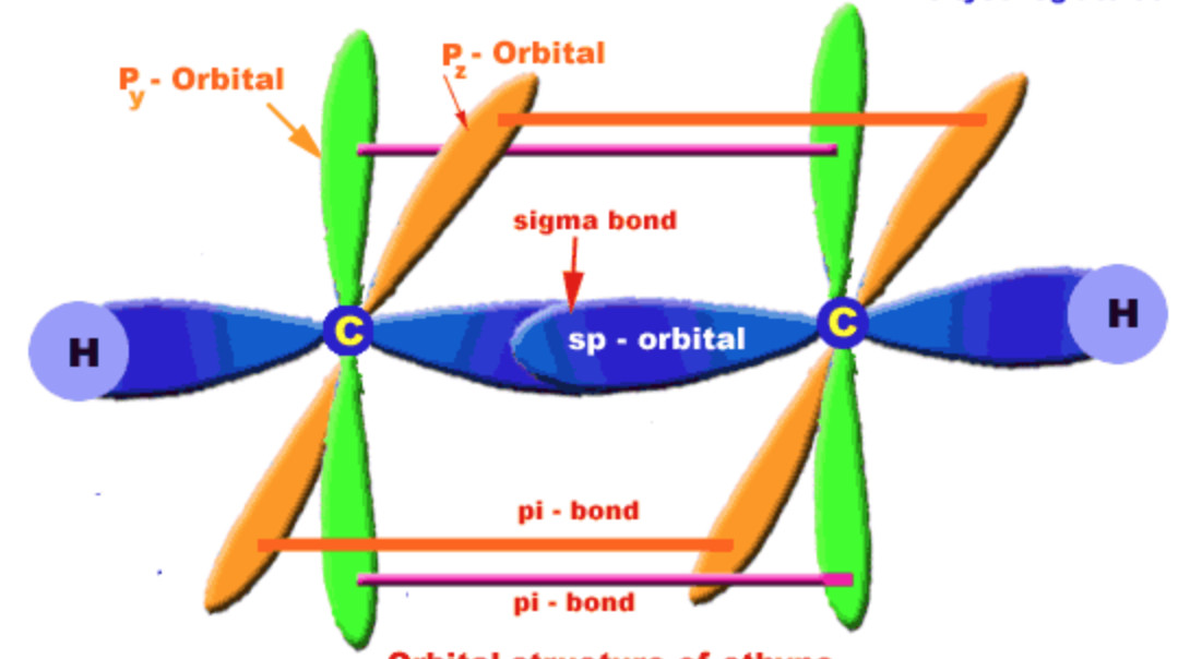 Shapes Of Simple Organic Compounds - Chemistry, Class 11, Organic ...